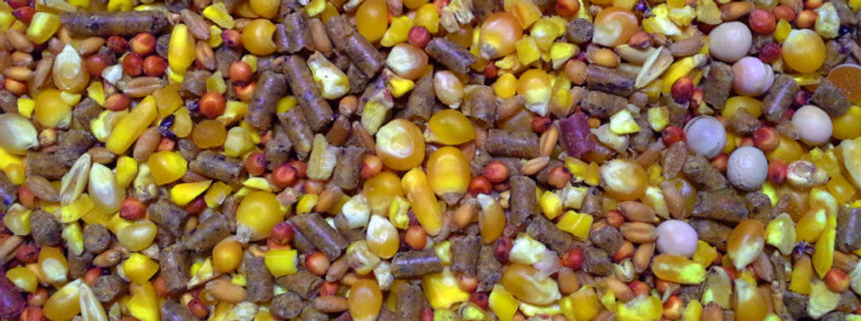 Bluebonnet Poultry Conditioner 16% - Lubbock, TX - Amarillo, TX - HF ...