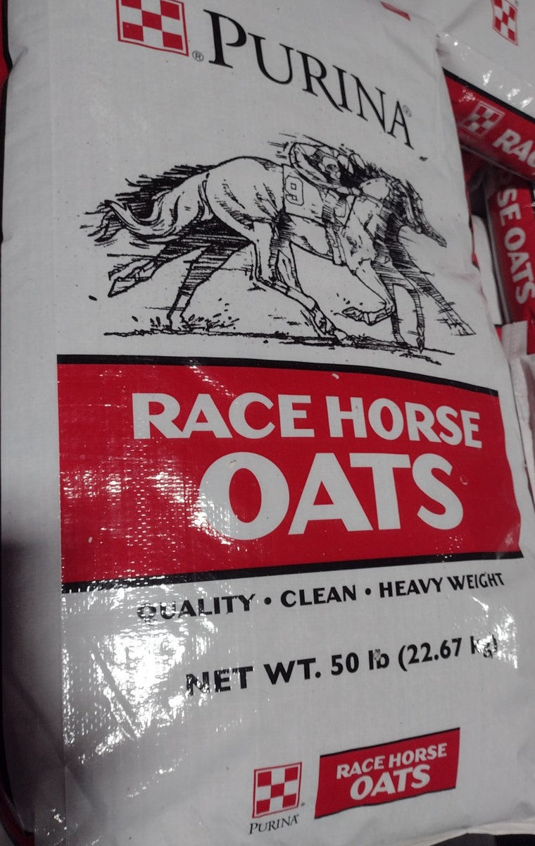 Purina® Race Horse Oats - Lubbock, TX - Amarillo, TX - HF and C Lubbock